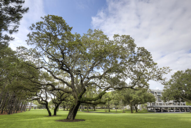 Senior Living in Clearwater, FL | Regency Oaks